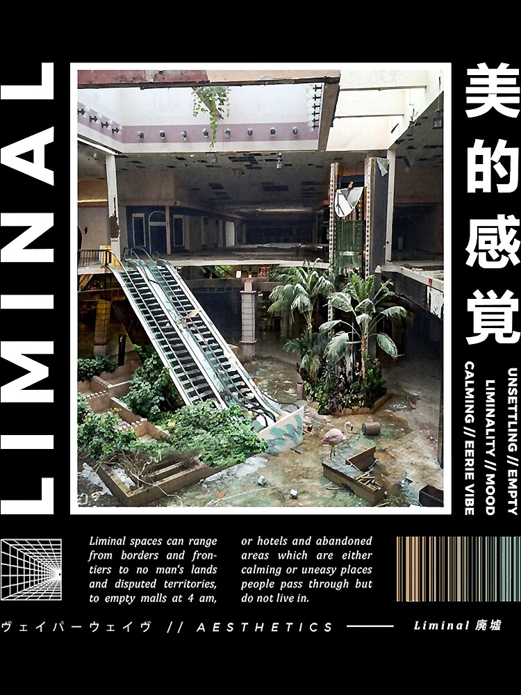 "Liminal Spaces Retro Internet 80s & 90s Aesthetic Vaporwave ...