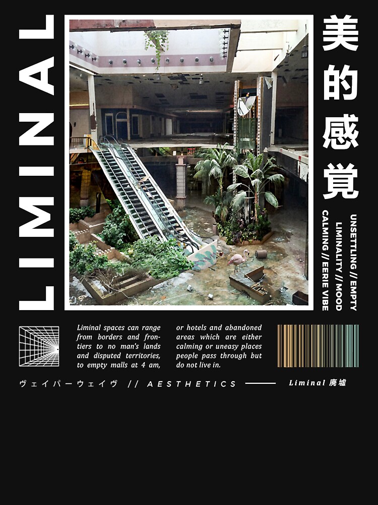 "Liminal Spaces Retro Internet 80s & 90s Aesthetic Vaporwave" T-shirt ...