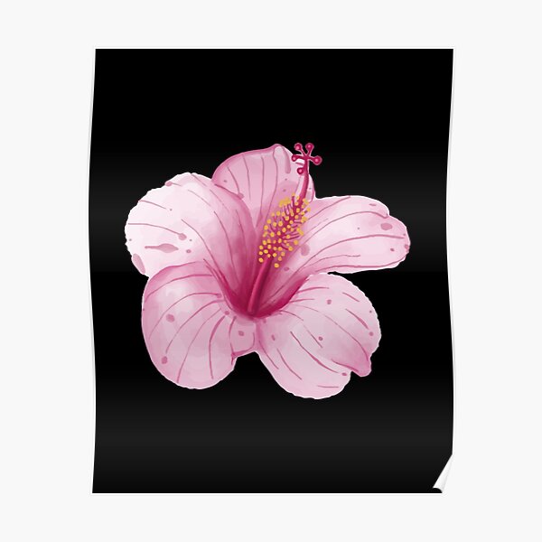 "Large Pink Hibiscus - Small Tropical Flower Gift" Poster for Sale by ...