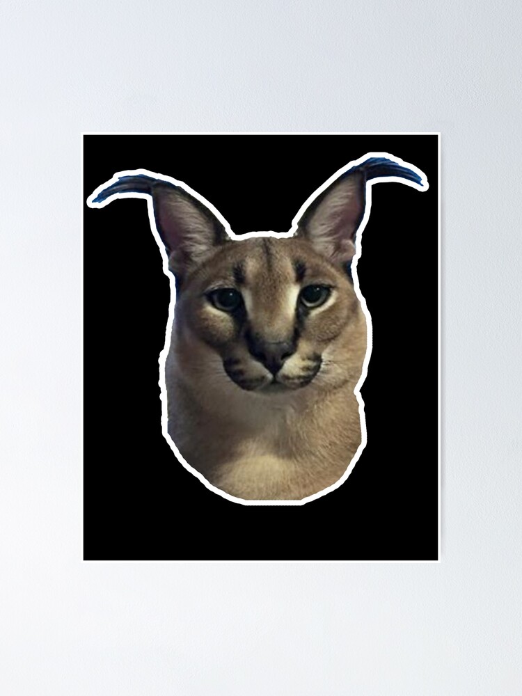 Póster «Grandes amantes de Floppa Meme» de LGBTHUMAN | Redbubble