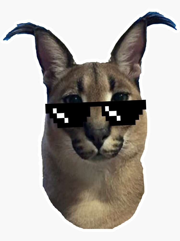 Pegatina «gran floppa meme» de LGBTHUMAN | Redbubble