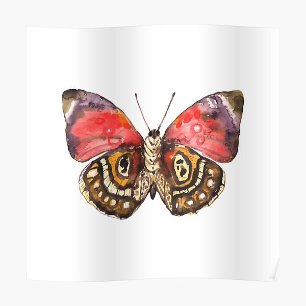 "cute monarch butterfly " Poster for Sale by PrintArticles | Redbubble
