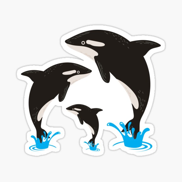 "Orca" Sticker for Sale by TopBaseline | Redbubble