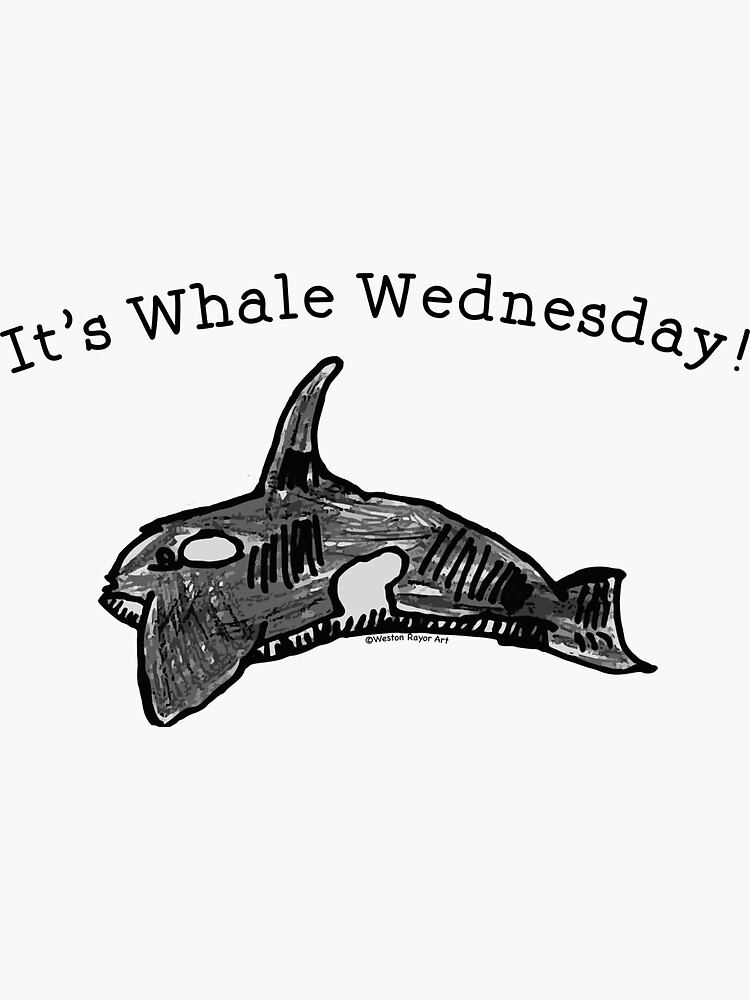 "It's Whale Wednesday Weston Rayor Art" Sticker for Sale by ...