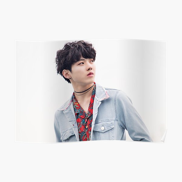 "DOWOON DAY6" Poster for Sale by yeongwonhikpop | Redbubble