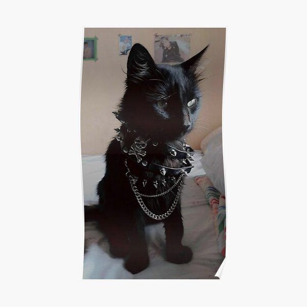 Emo Cat Meme Ubicaciondepersonascdmxgobmx