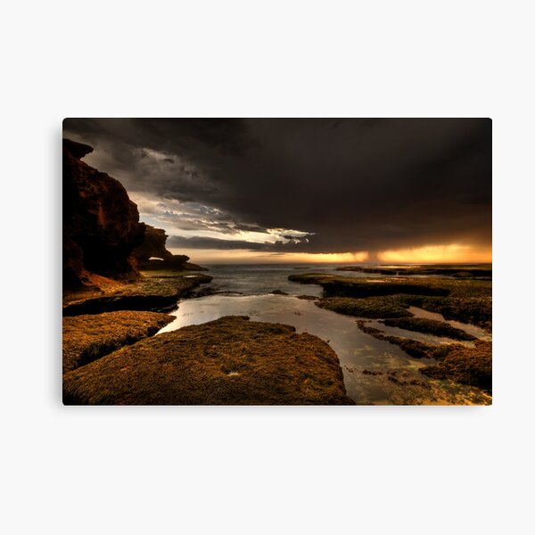 Robert Mullner Shop | Redbubble