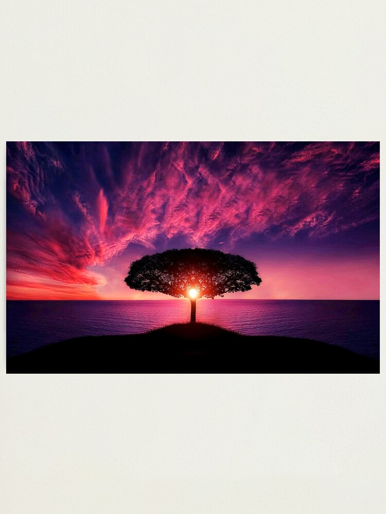 Lámina fotográfica «PAISAJES ACUÁTICOS #20 - Sol filtrándose a través ...