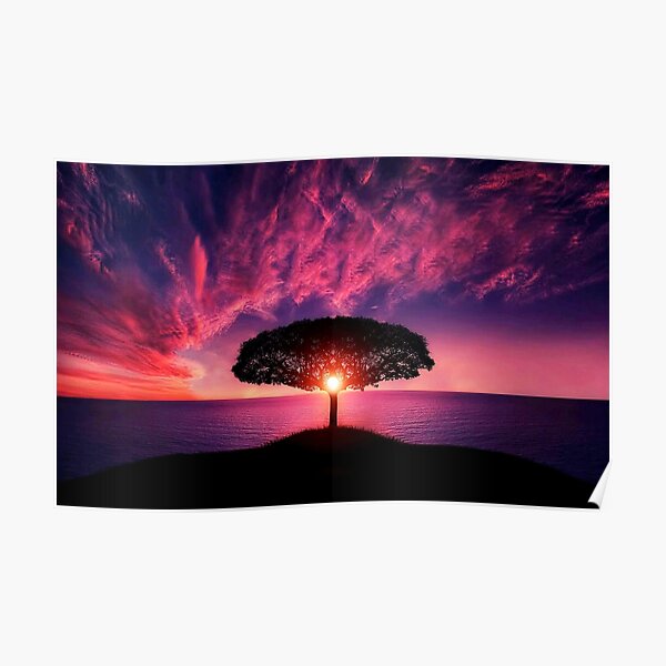 Póster «PAISAJES ACUÁTICOS #20 - Sol filtrándose a través del árbol de ...
