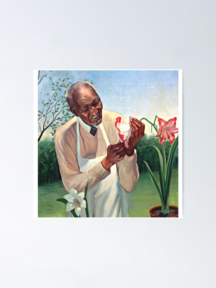 " George Washington Carver - The Great African American Scientist ...