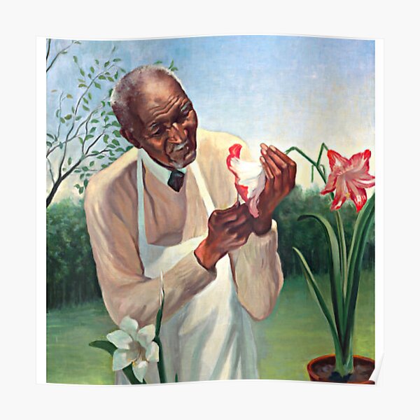 " George Washington Carver - The Great African American Scientist ...