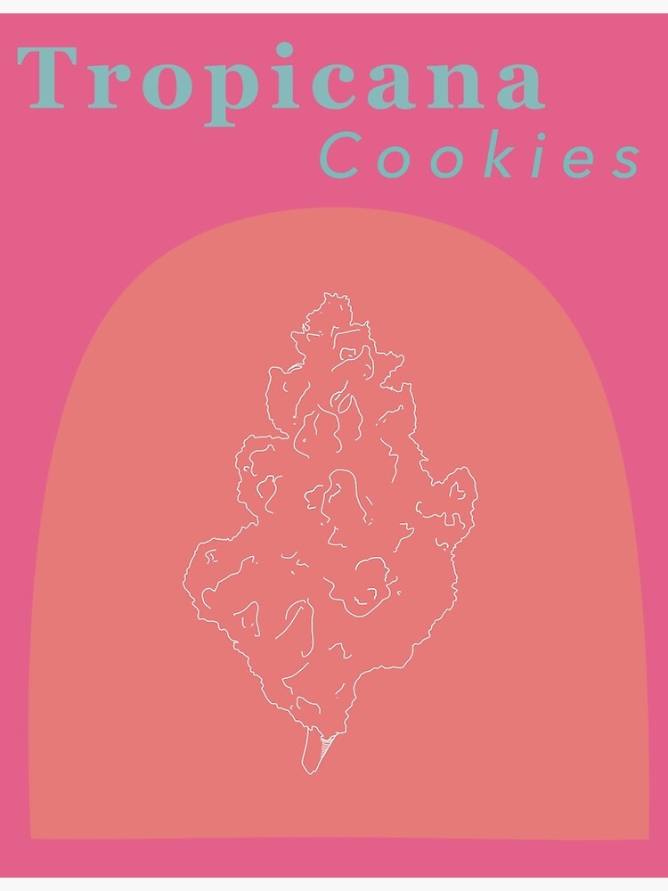"Tropicana Cookies weed strain" Poster for Sale by Amykdp | Redbubble