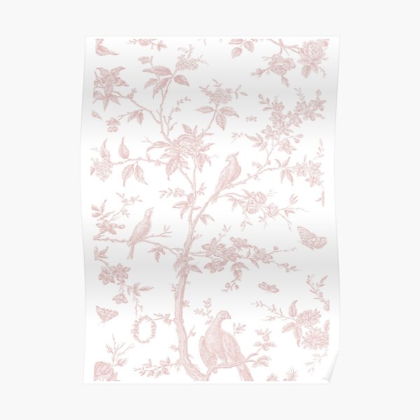 "French Toile Pattern in Blush Colour" Poster for Sale by silver6press ...