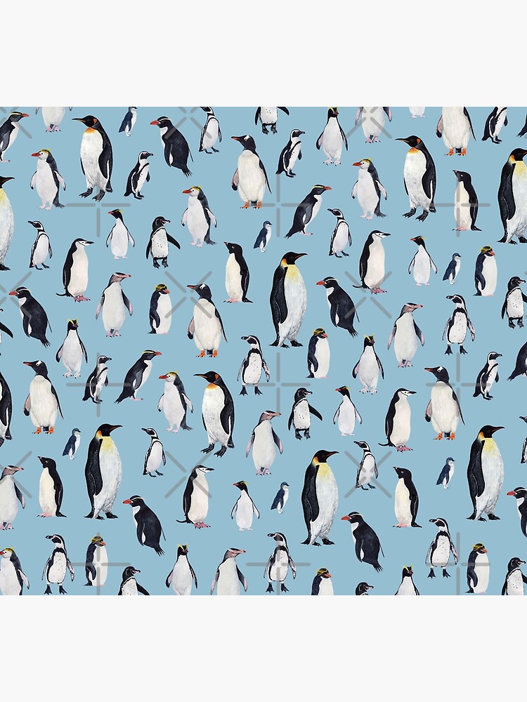 PENGUINS of the world- poster heights Socks sold by A a a a Anabab ...
