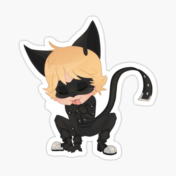 Miraculous Tales Of Ladybug And Cat Noir Gifts & Merchandise | Redbubble