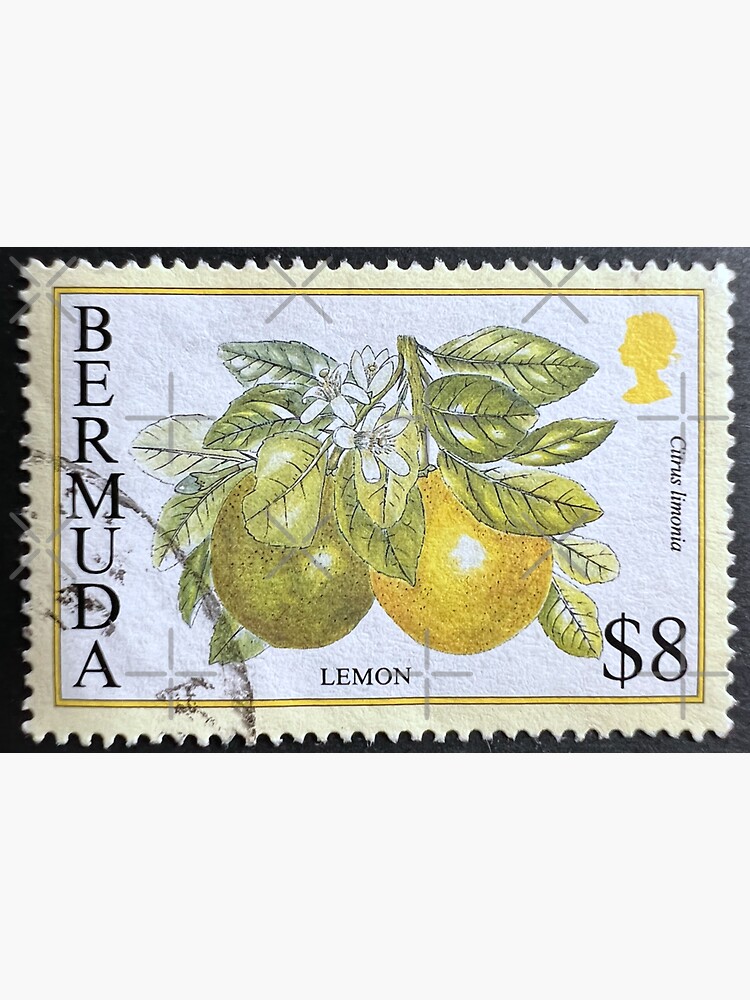 "Lemon Citrus Vintage Postage Stamp" Sticker for Sale by Factory57 ...