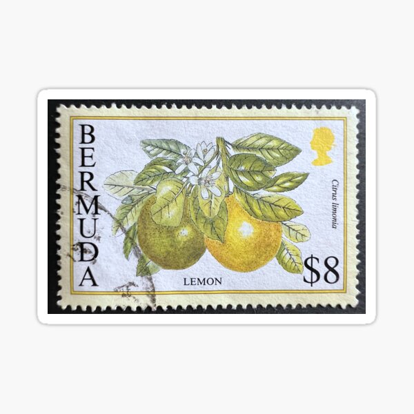 "Lemon Citrus Vintage Postage Stamp" Sticker for Sale by Factory57 ...