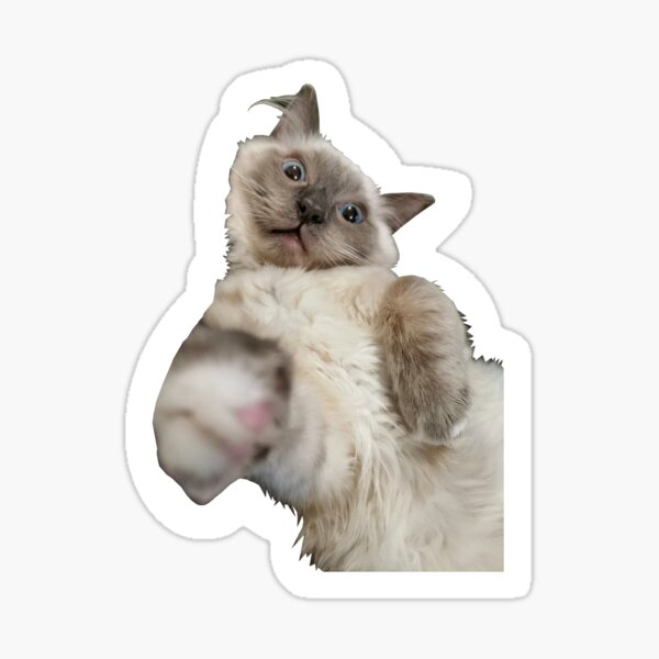 "WTF" Sticker for Sale by JijixRaya | Redbubble