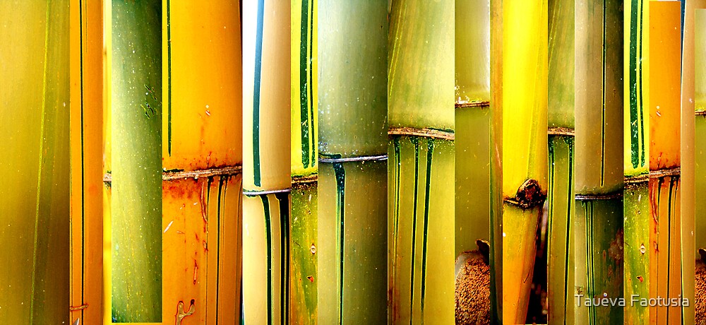 "Bamboo Abstract" by taueva faotusia | Redbubble