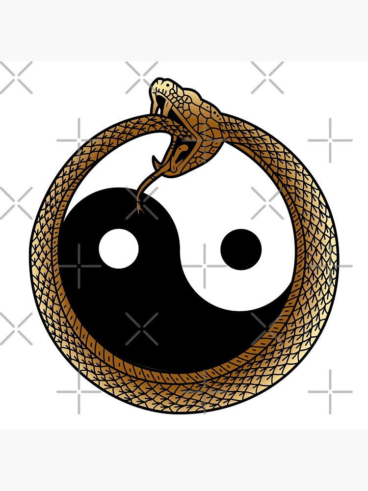 Chinese zodiac snake yin or yang 60 photos - Astrologytoyou.com