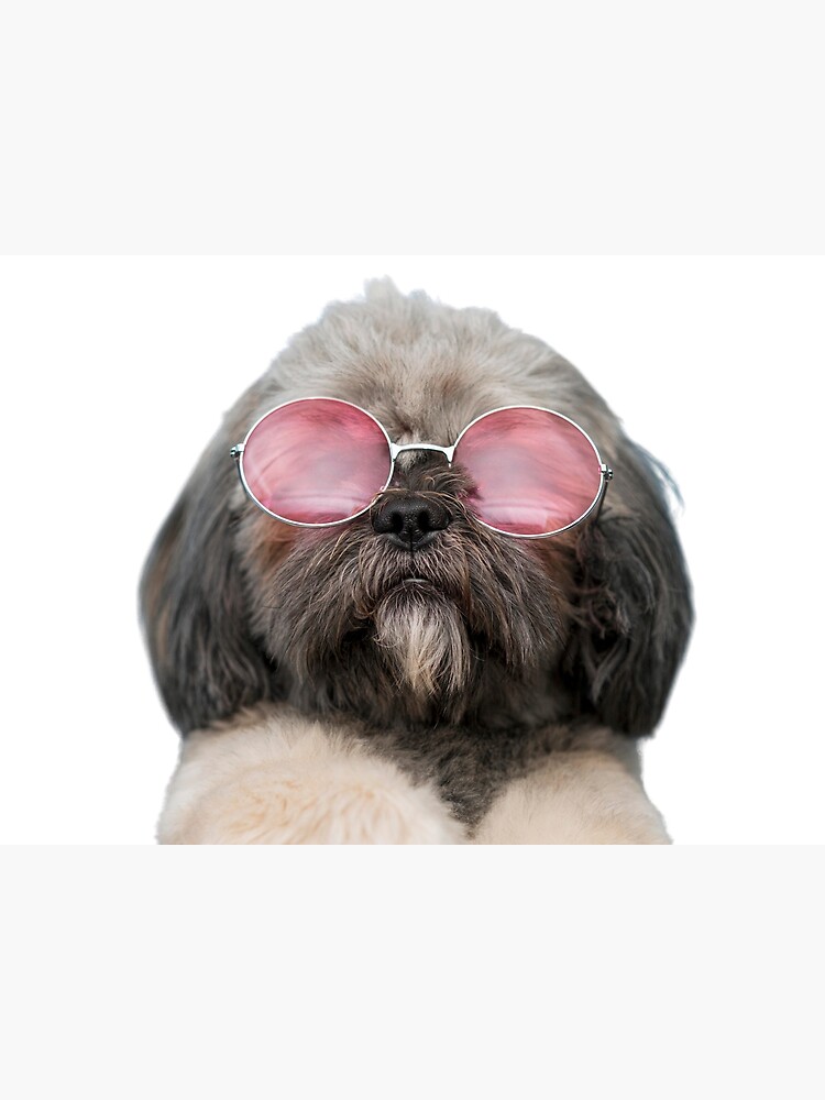 "fanny Cute Funny Dog pet meme kawaii licking paw " Poster for Sale by ...