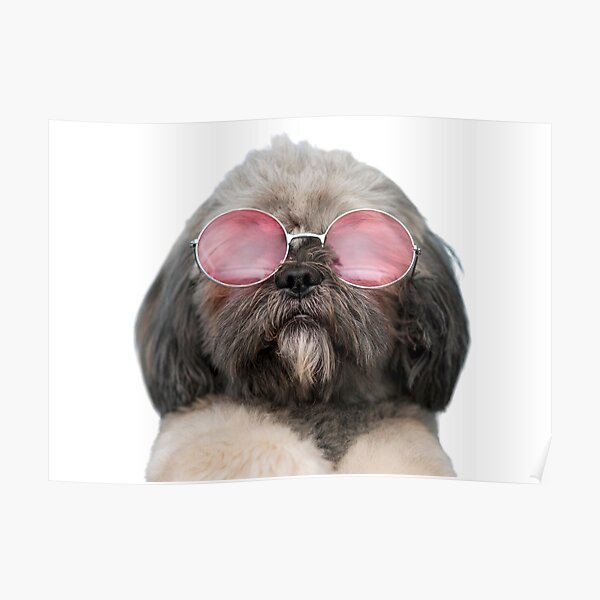 "fanny Cute Funny Dog pet meme kawaii licking paw " Poster for Sale by ...