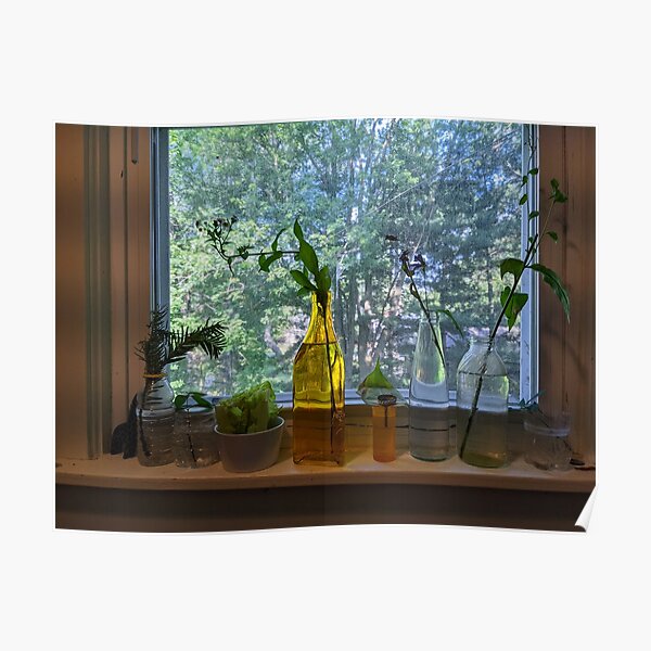 "Eastern Window Cuttings - July 7" Poster for Sale by arfff | Redbubble