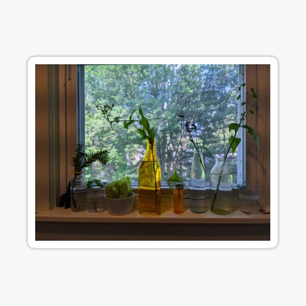 "Eastern Window Cuttings - July 7" Sticker for Sale by arfff | Redbubble