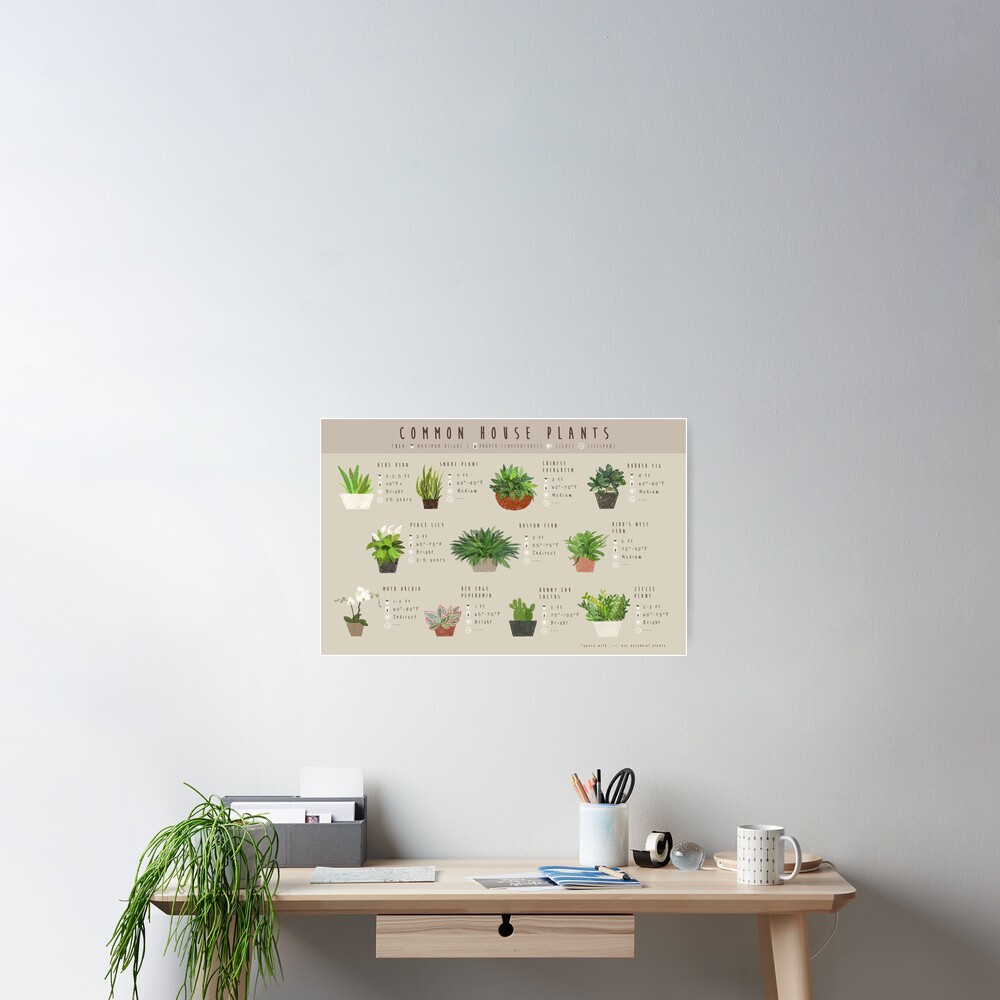 "Common House Plants Infographic" Poster for Sale by amakiyo | Redbubble