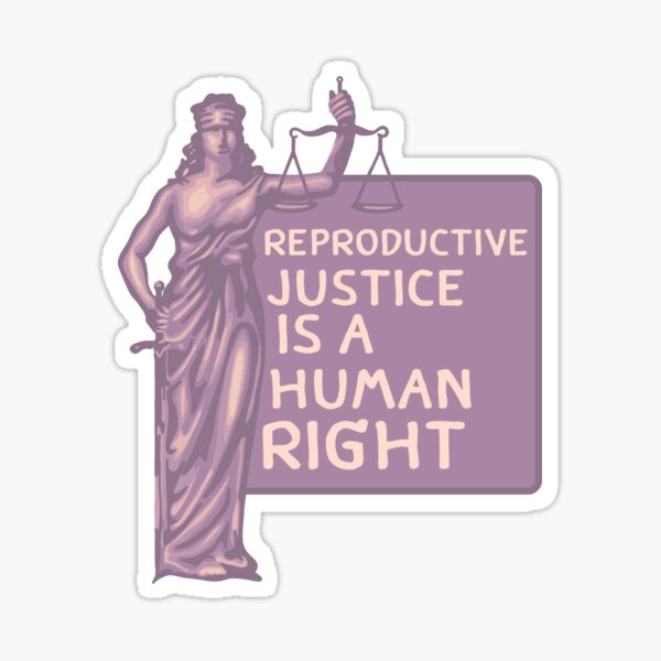"Reproductive Justice" Sticker for Sale by unhingedheather | Redbubble