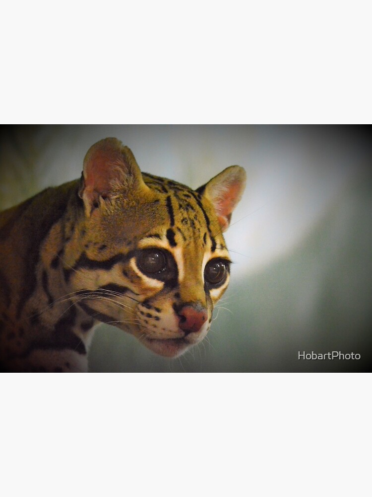 Ocelot Premium Matte Vertical Poster sold by CharlottTaylor | SKU ...
