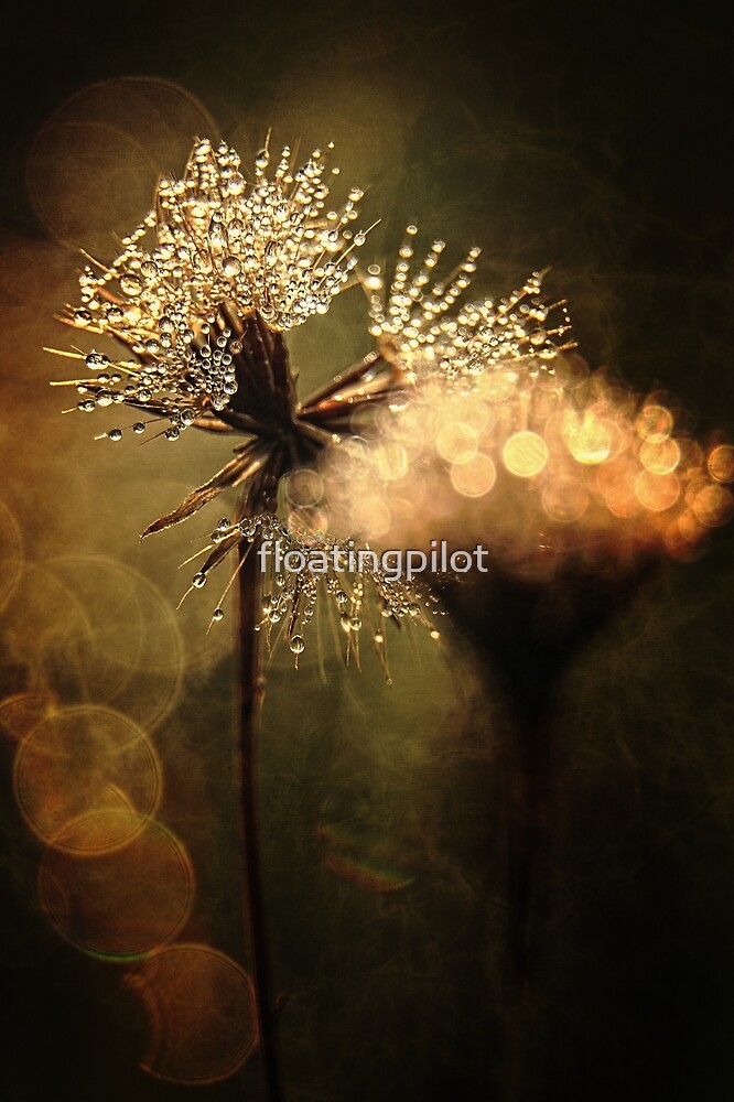 "Light Trance" by floatingpilot | Redbubble