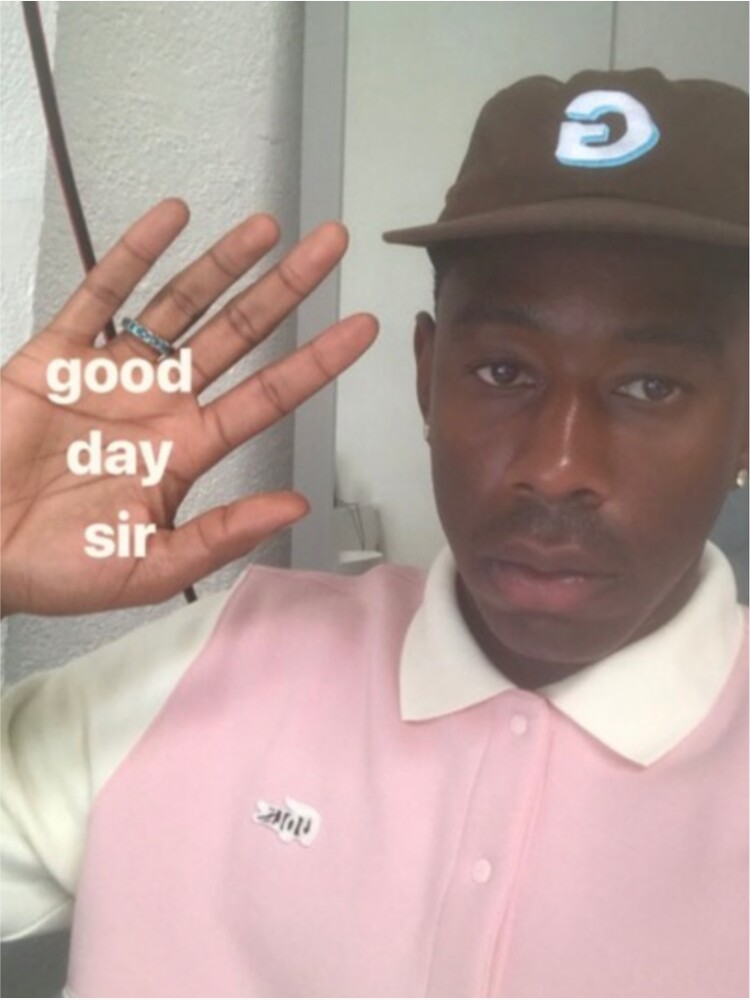 "-Tyler meme" Sticker for Sale by hushieblushie | Redbubble