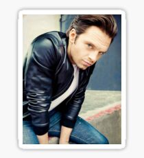 Sebastian Stan: Stickers | Redbubble