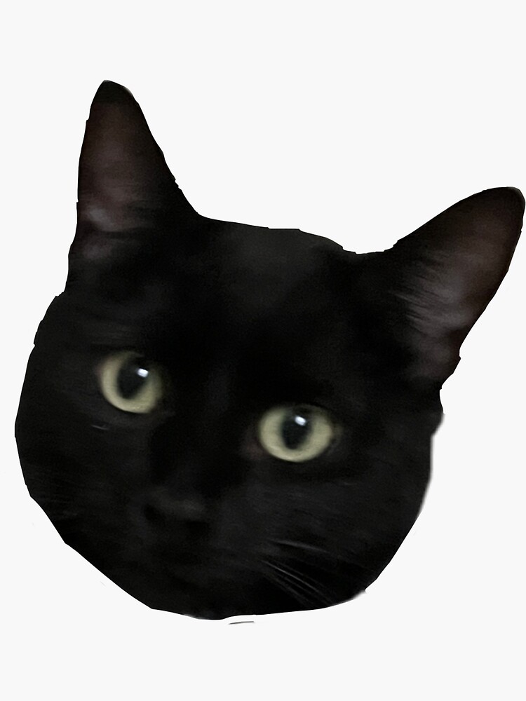 "cleo cat" Sticker for Sale by leahahooo | Redbubble