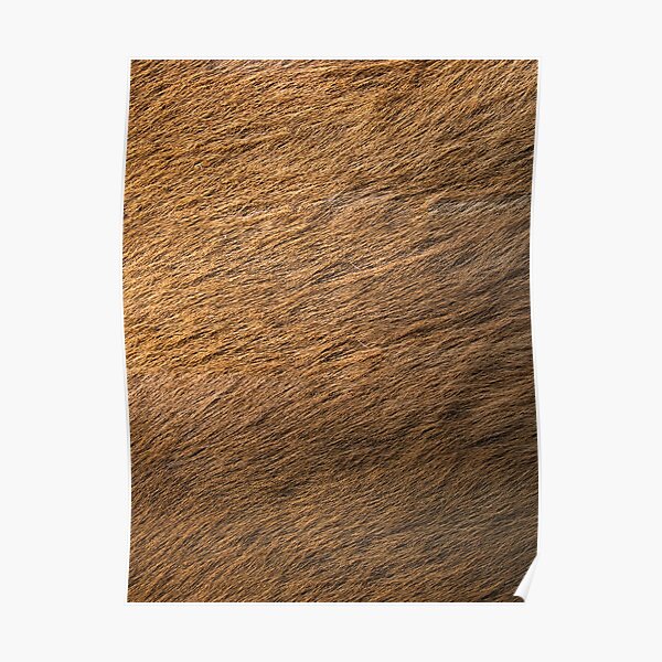 Póster «Piel de mamífero. Piel de antílope. Fotografía de pieles de ...