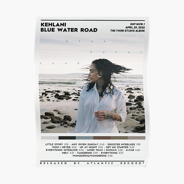 "Minimalist Album Rapper Women Poster" Poster for Sale by edanfargol ...