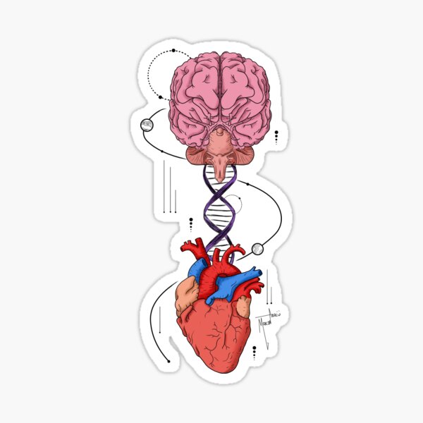 "Anatomy Love" Sticker for Sale by MayconAbreu | Redbubble