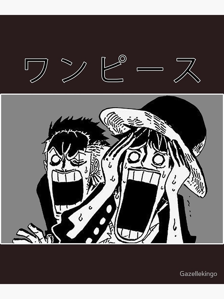 "funny sarcastic Luffy and Zoro shocked face cute drawing manga ...