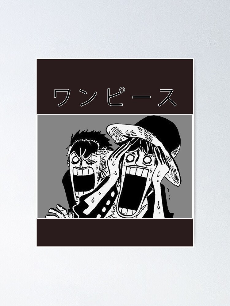 "funny sarcastic Luffy and Zoro shocked face cute drawing manga ...