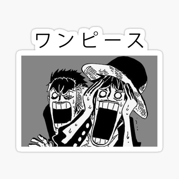 "funny sarcastic Luffy and Zoro shocked face cute drawing manga ...