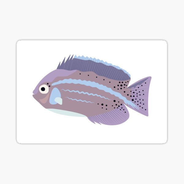 "Colorful angelfish, illustration" Sticker for Sale by OM-lova | Redbubble