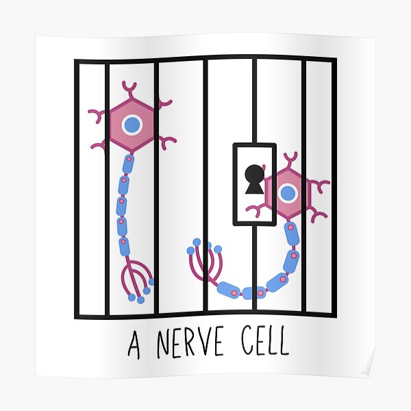 "Nerve Cell Neuron Neuroscience Puns Funny Science Jokes " Poster for ...