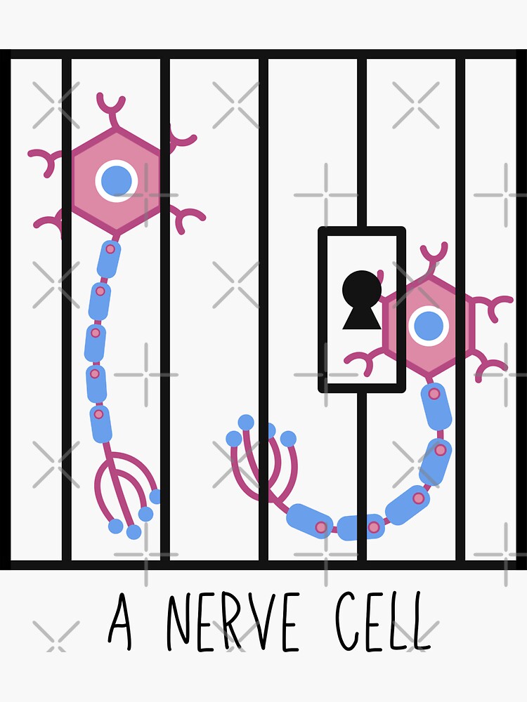 "Nerve Cell Neuron Neuroscience Puns Funny Science Jokes " Sticker for ...