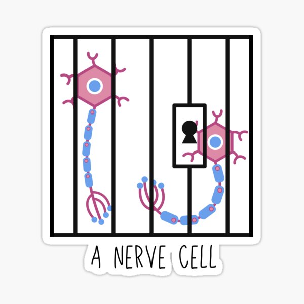 "Nerve Cell Neuron Neuroscience Puns Funny Science Jokes " Sticker for ...