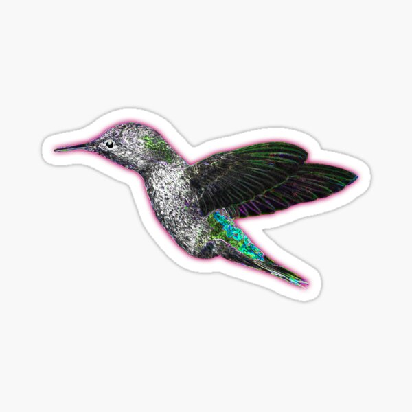 "Infrared Hummingbird" Sticker for Sale by janraydesigns | Redbubble