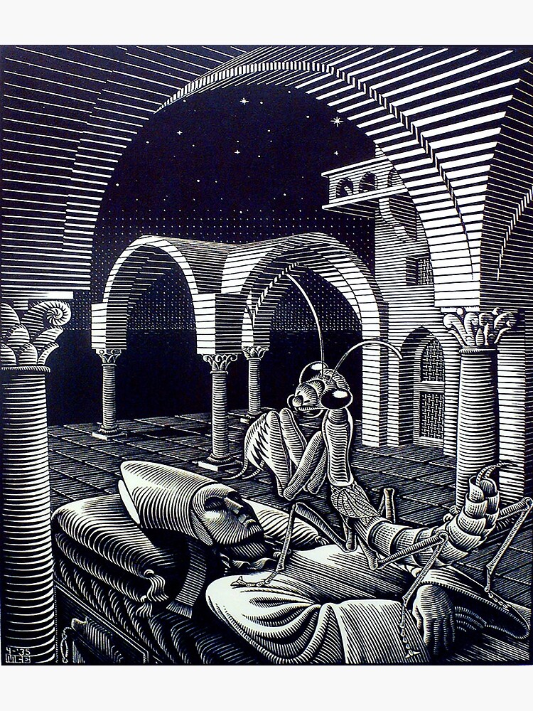 "M.C. Escher - Relativity" Poster for Sale by Flamingomom | Redbubble