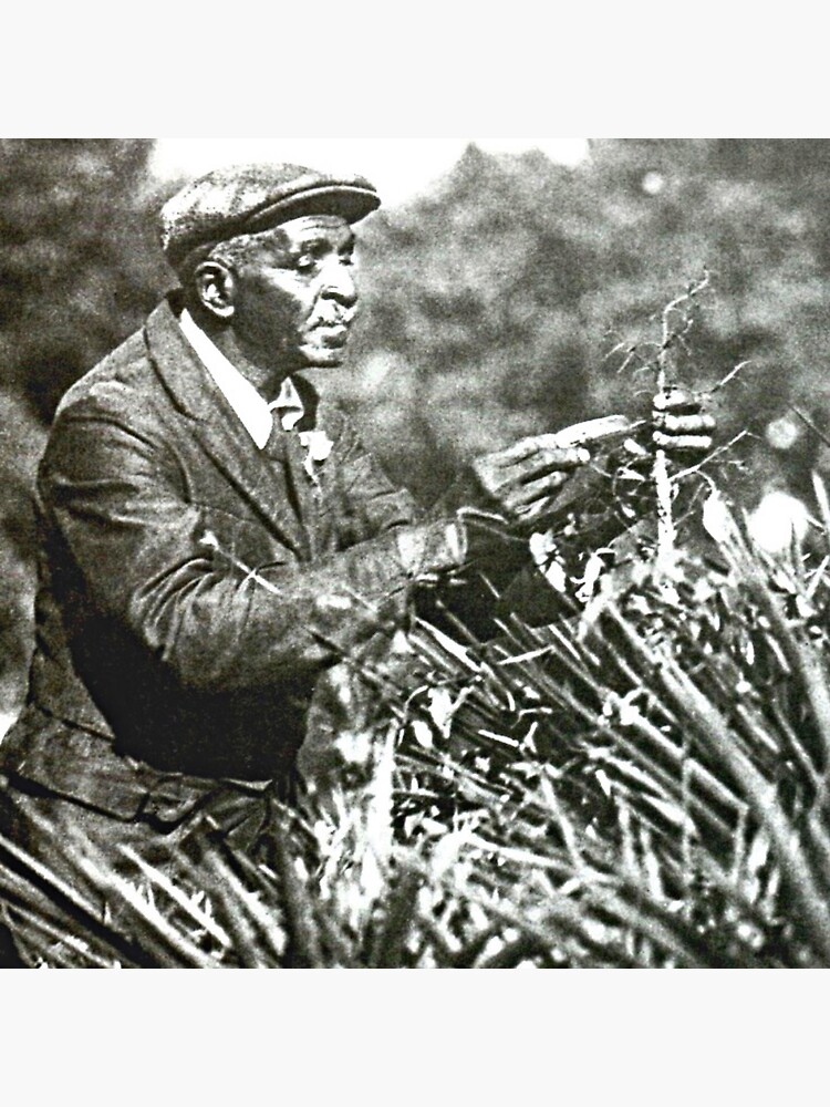 "Carver - George Washington Carver - The Greatest Plants Lover" Poster ...