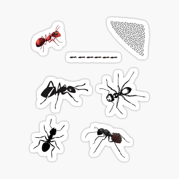 "ant" Sticker for Sale by Zaibo | Redbubble