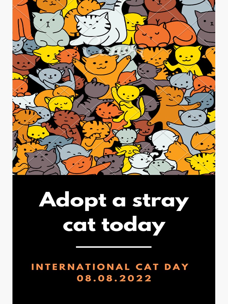 "Adopt a stray cat" Sticker for Sale by diacon16 | Redbubble